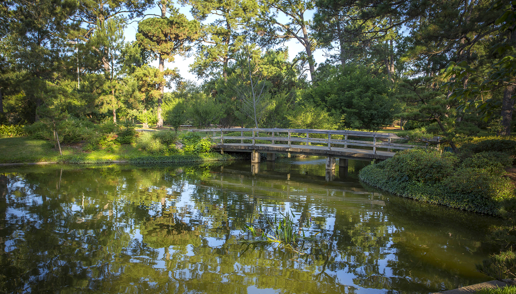 Hermann Park Japanese Garden - Millis Equipment
